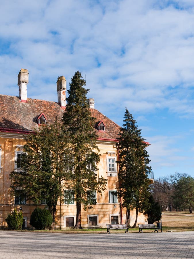 Castle behind the trees stock image. Image of forest - 52808155