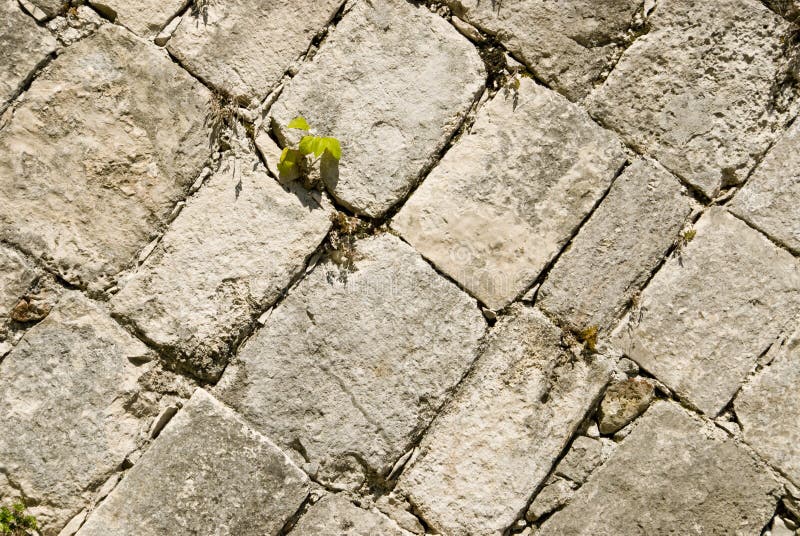 Castle Block Brick Walls Picture. Image: 3615031