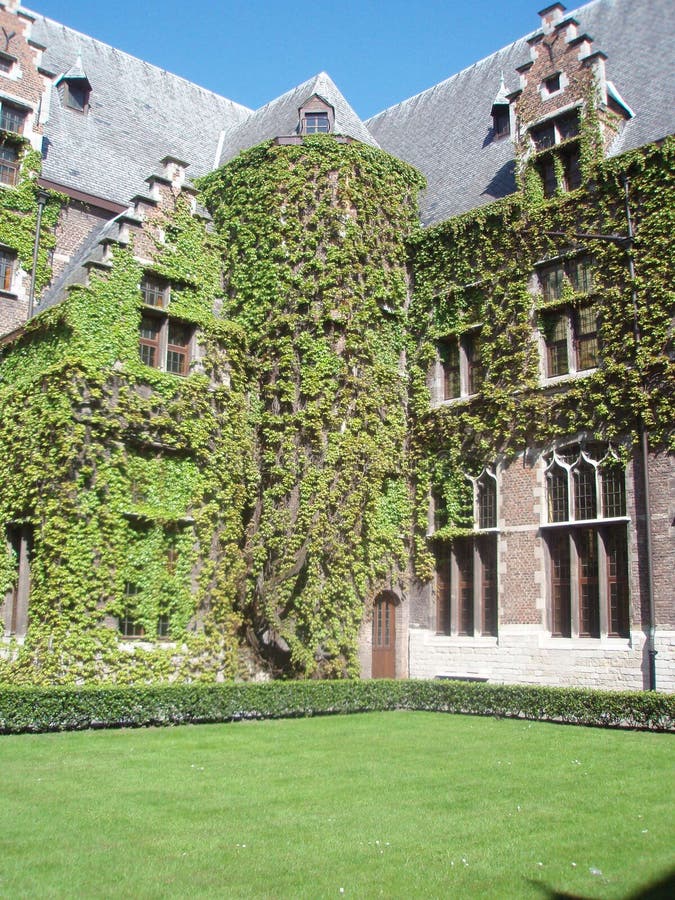Castle covered in ivy stock photo. Image of mansion - 226965110