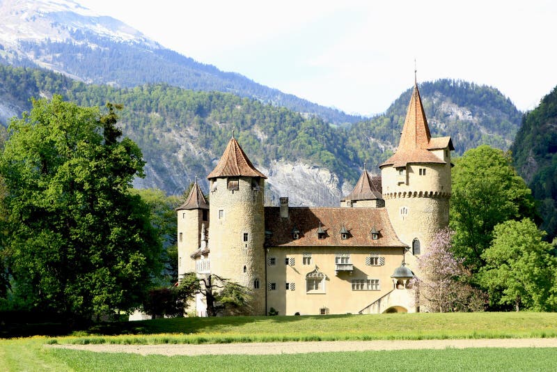 Castle in Front of a Mountain Scenery Stock Photo - Image of historic ...