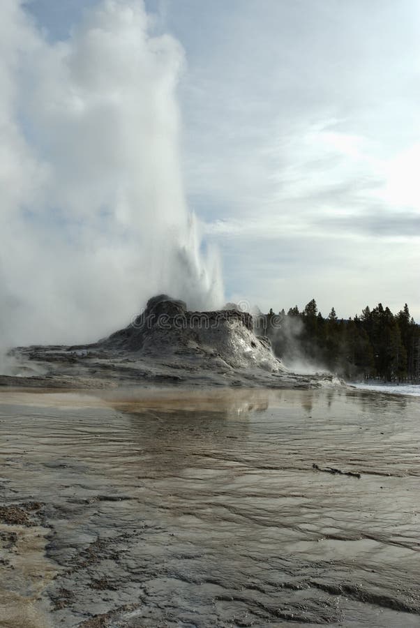 Castle Geyser, Yellowstone NP Stock Image - Image of yellowstone ...
