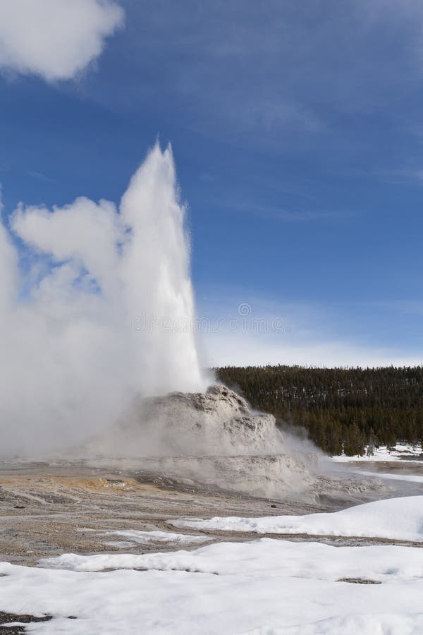 Castle Geyser, Yellowstone NP Stock Photo - Image of landscape ...