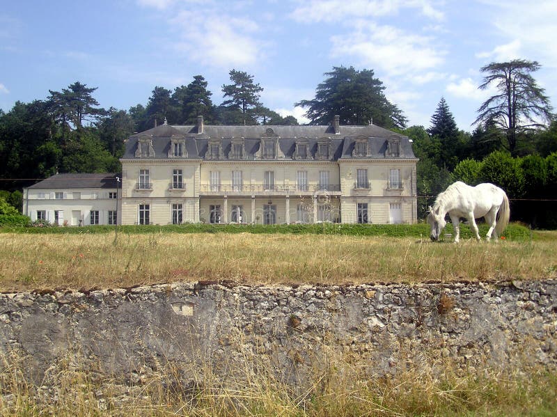 Castle with horse stock photo. Image of history, summer - 26176676