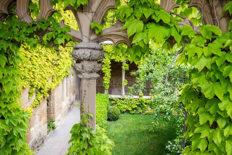 Castle inner court stock photo. Image of leaves, castle - 72938444