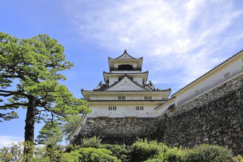 Castle Keep of Kochi Castle Stock Photo - Image of historical, donjon ...
