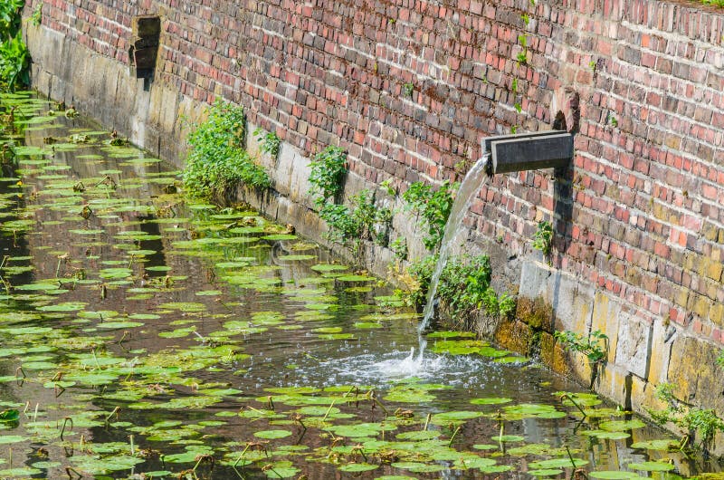 Moat of Old Castle. Moat with Reflection in the Water and Trees. Sunny ...