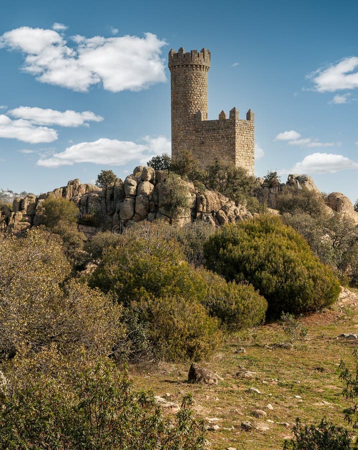 Castle on a Mountain Surrounded by Trees Stock Image - Image of history ...