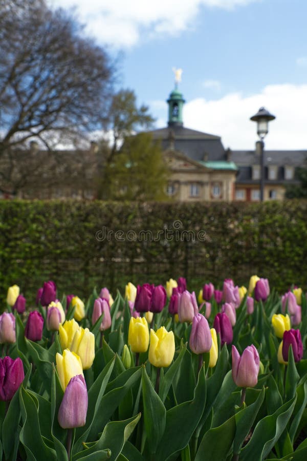 Castle of Muenster in Germany Stock Photo - Image of palace, student ...