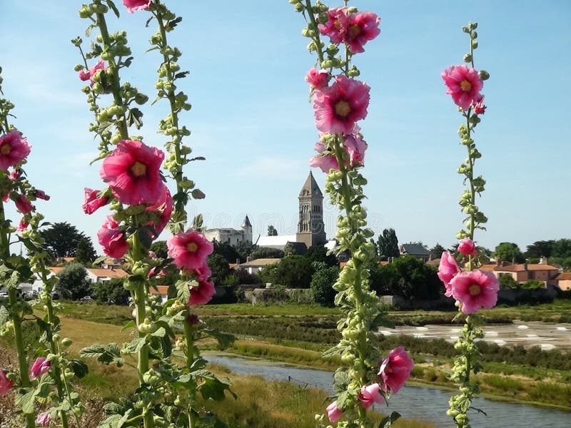 French Circus Castle Stock Photos - Free & Royalty-Free Stock Photos ...