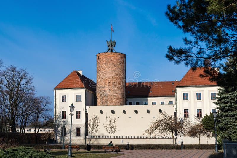 Town Hall Tower and Other Buildings in Glogow, Poland Editorial ...