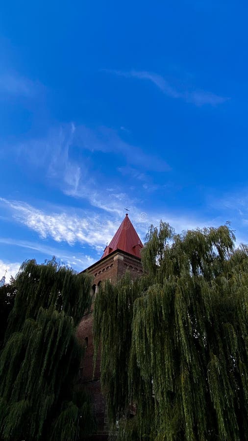 Castle with a Red Roof Under a Clear Blue Sky Stock Image - Image of ...