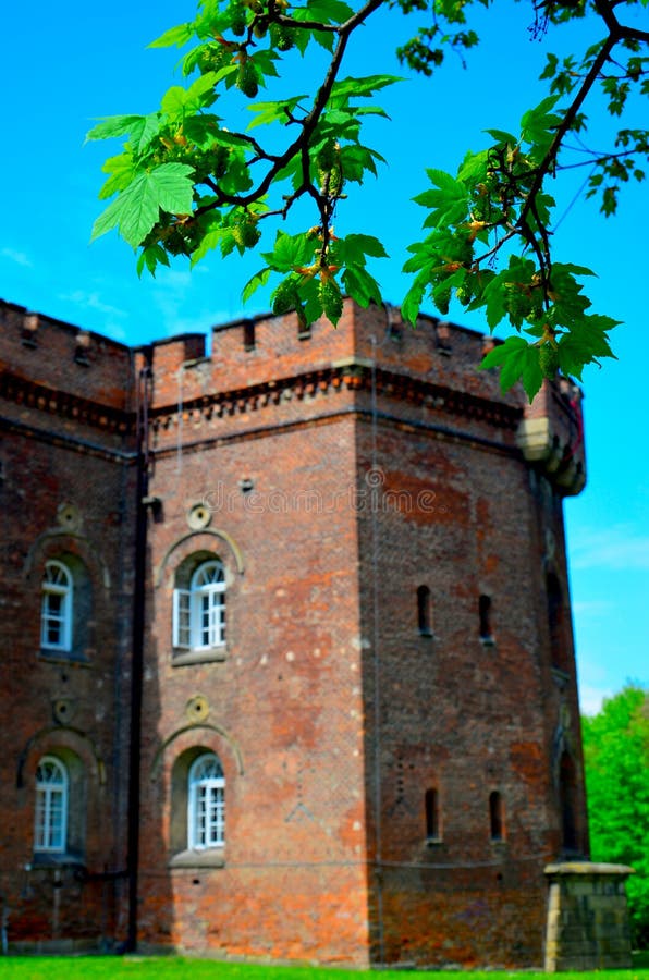 Castle stock photo. Image of flora, plants, leaves, windows - 30804372