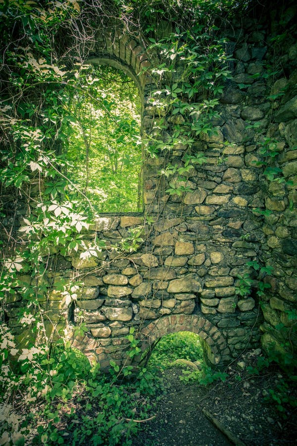 Castle wall in woods stock image. Image of abandoned - 41461413
