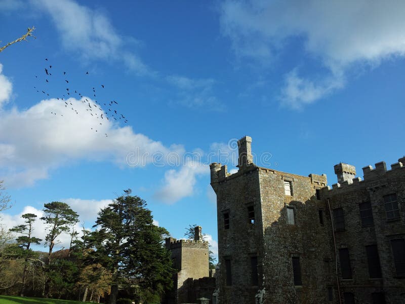 Castlefreke Birds Stock Photos - Free & Royalty-Free Stock Photos from ...