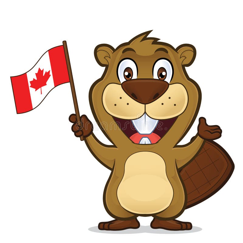 Castor De La Historieta Que Sostiene La Bandera Canadiense Ilustración ... Castor De La Historieta Que Sostiene La Bandera Canadiense Ilustración ...