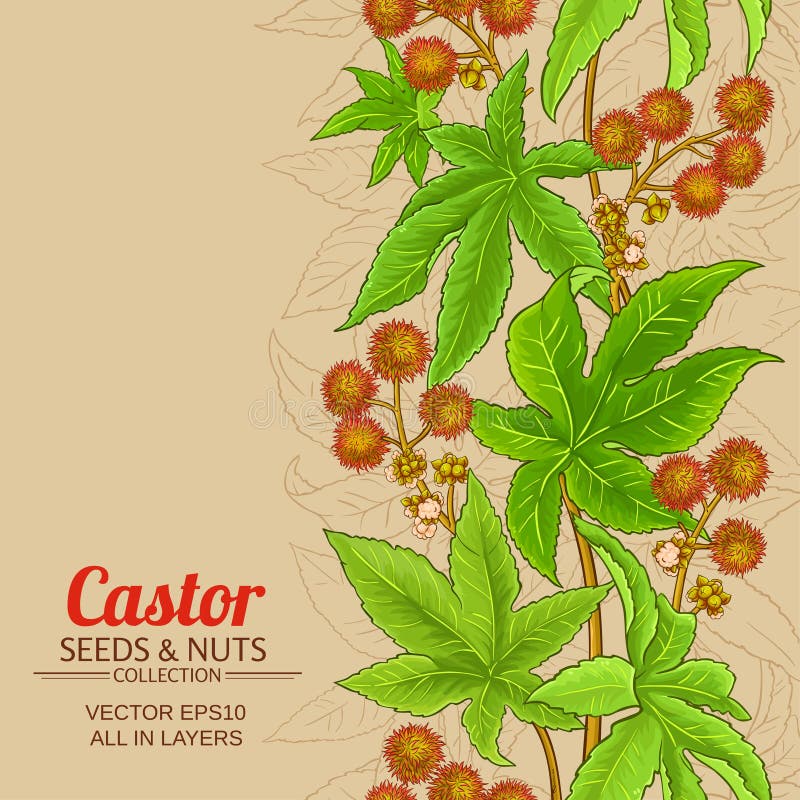 Castor Oil Vector Stock Illustrations – 314 Castor Oil Vector Stock ...