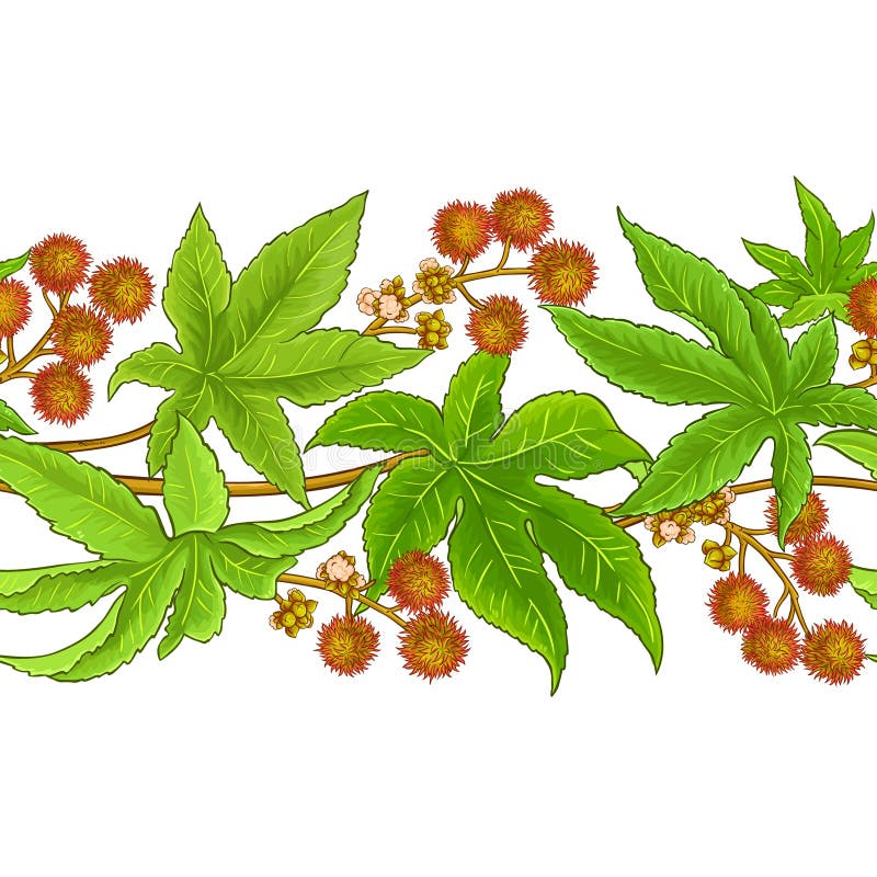 Castor Vector Stock Illustrations – 979 Castor Vector Stock ...