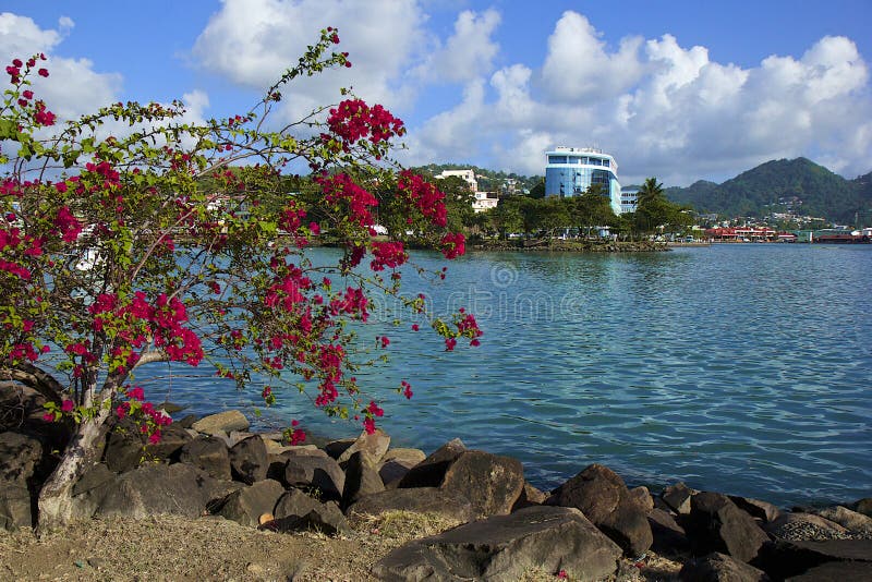 Castries, St Lucia, Caribbean Editorial Stock Photo - Image of downtown ...