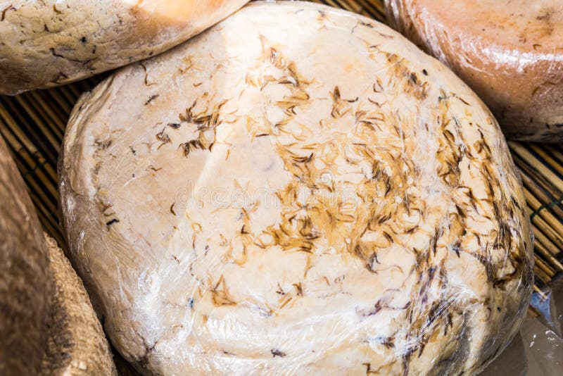 Casu Marzu Chhese Avec Des Vers Photo stock - Image du gourmet ...