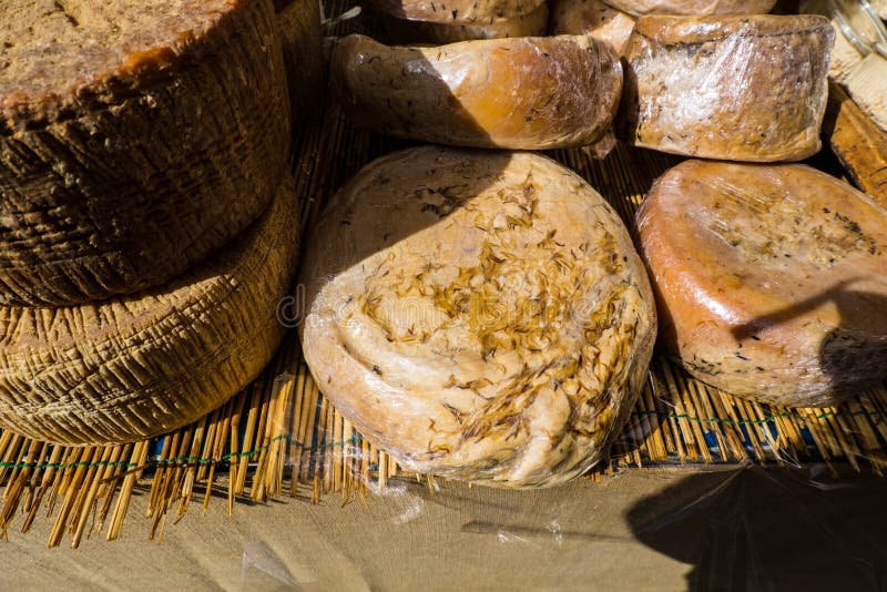 Casu Marzu, Queso Sardo Con Gusanos Foto de archivo - Imagen de formas ...
