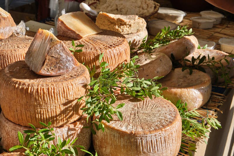 Casu Marzu, Fromage Sarde Aux Vers Photo stock - Image du nourriture ...