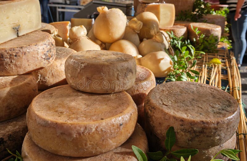 Casu Marzu, Fromage Sarde Aux Vers Photo stock - Image du fond, artisan ...