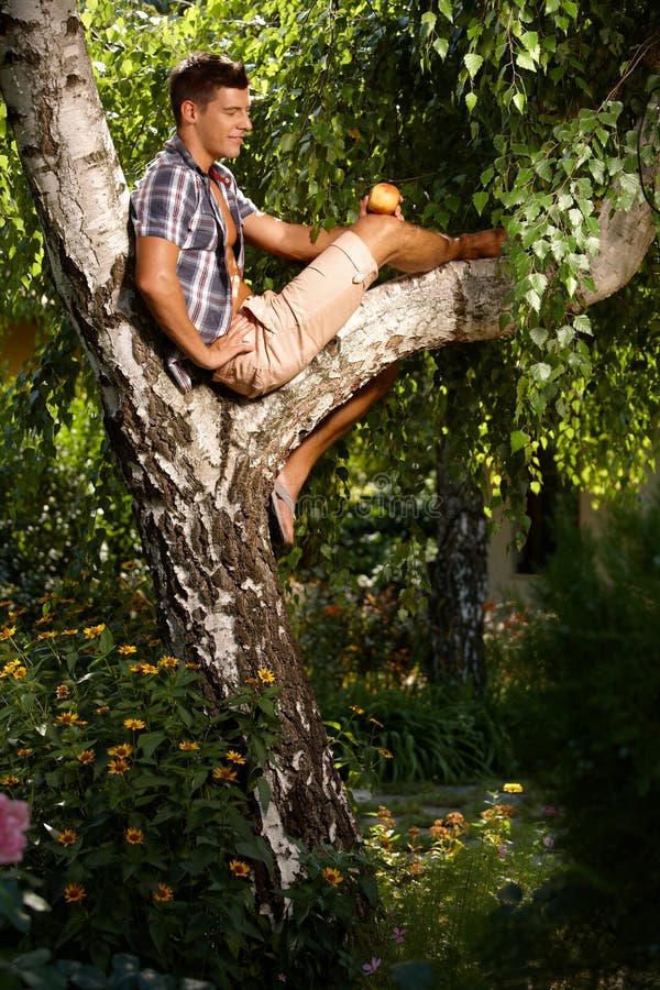 Casual Man Relaxing on Bough Stock Image - Image of lifestyle, copy ...