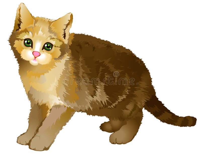 Calf stock vector. Illustration of cattle, jersey, friesian - 31870437