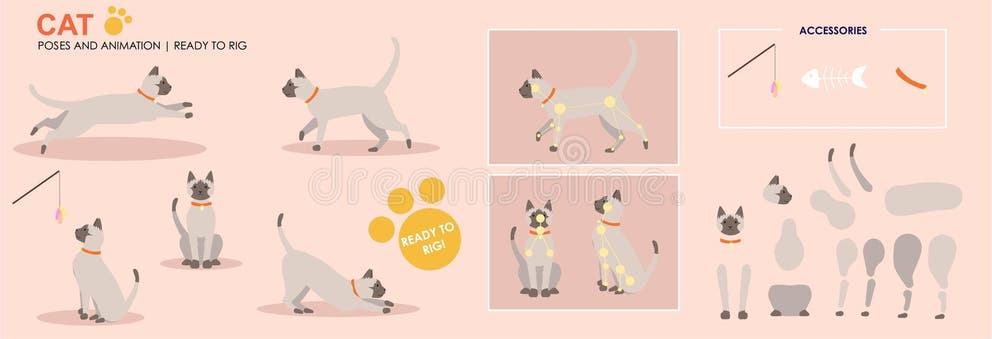 Cute Siamese Cat, Jumping, Playing, Multiple Poses, Positions. Vector ...