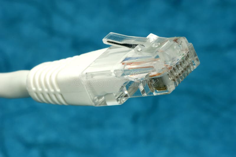 Cat 5 Picture. Image: 541463