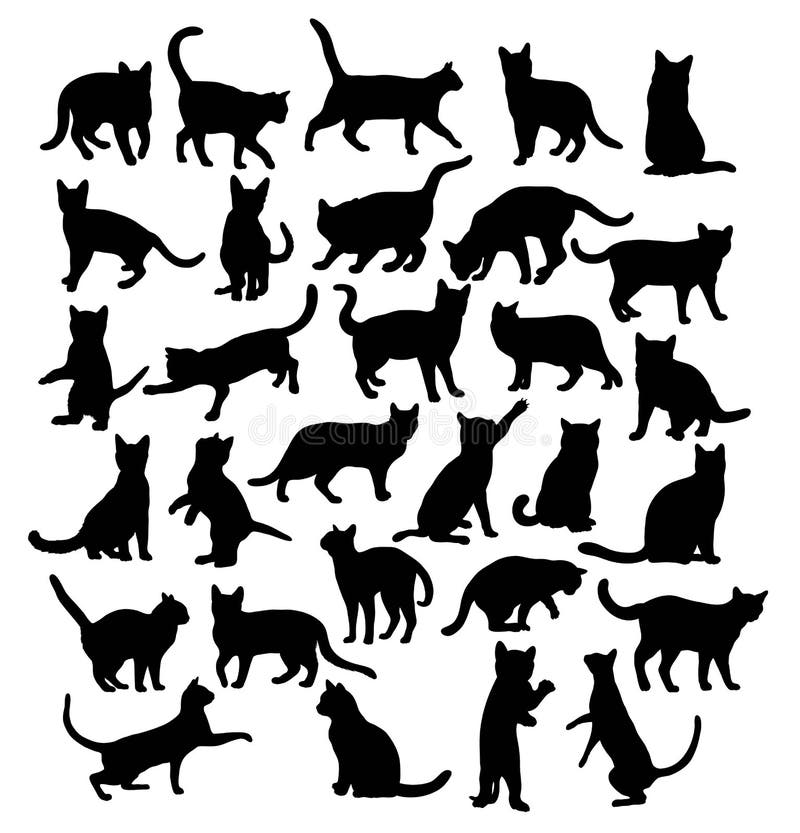 Cat Activity and Action stock vector. Illustration of mammal - 77055770