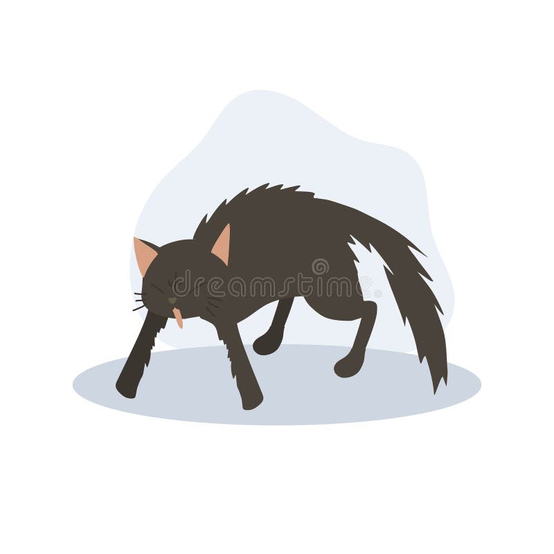 Cat in Aggressive Posture with Fluffed Up Fur. Frightened Cat Stock ...