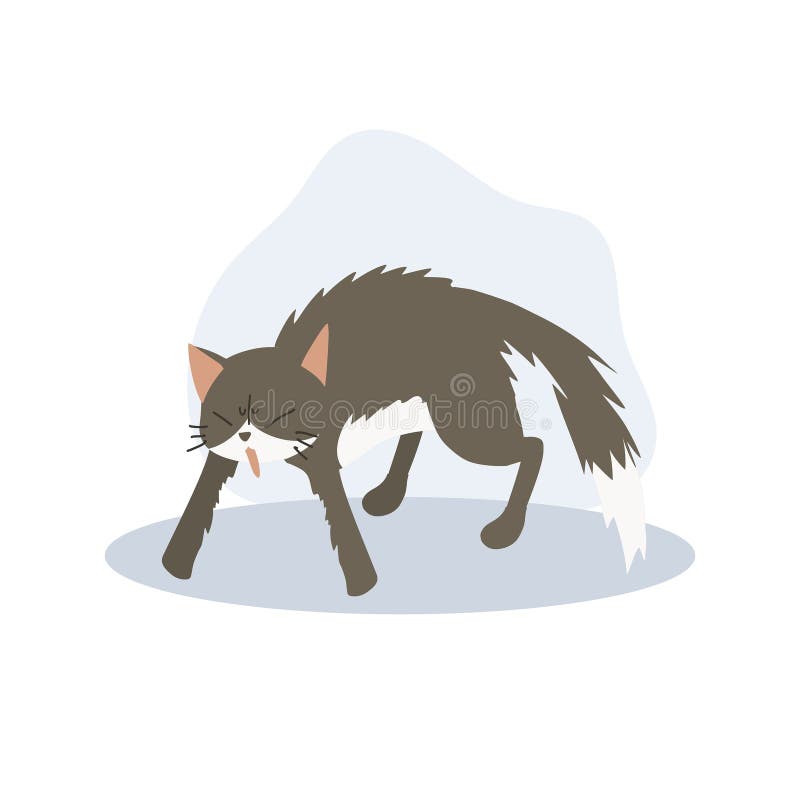 Cat in Aggressive Posture with Fluffed Up Fur. Frightened Cat Stock ...