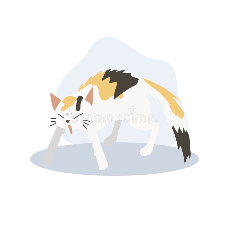 Cat in Aggressive Posture with Fluffed Up Fur. Frightened Cat Stock ...