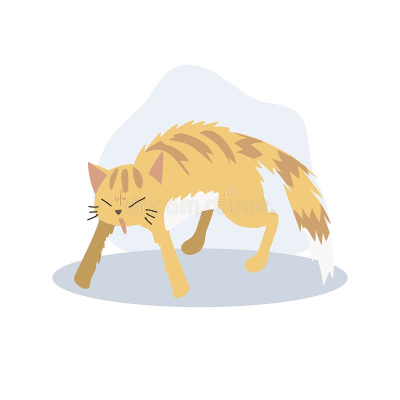 Cat in Aggressive Posture with Fluffed Up Fur. Frightened Cat Stock ...