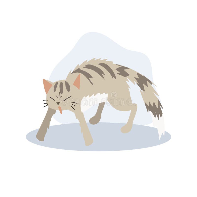 Stray cat posture stock photo. Image of pets, mammal - 34615732