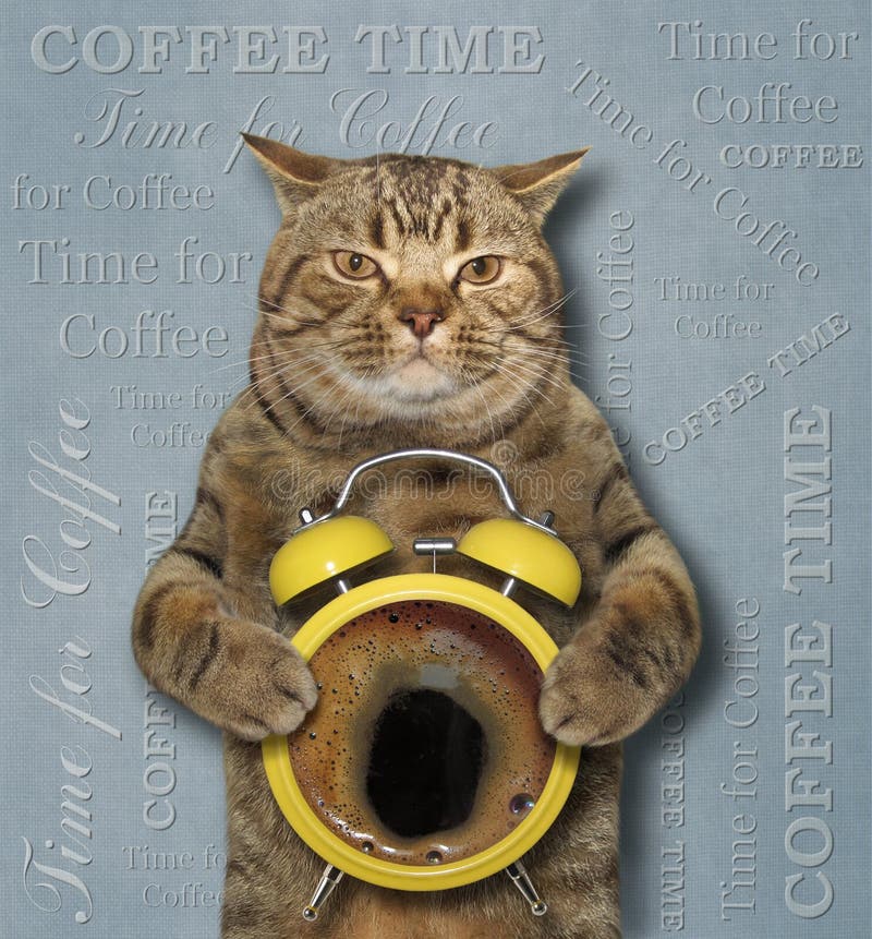 Cat with an alarm clock stock image. Image of good, rest - 121799187
