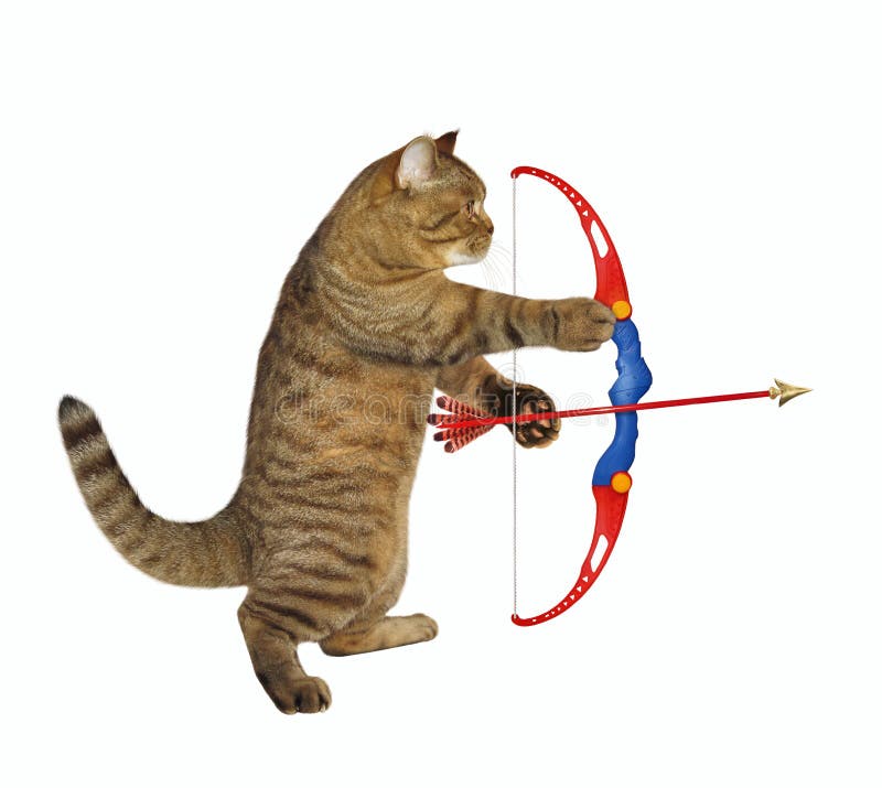 Archer shooting a long bow stock photo. Image of field - 14772058