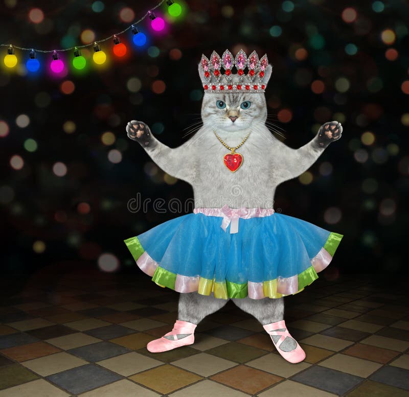 Cat Ashen Ballet Dancer in Blue Skirt Stock Photo - Image of shoe ...