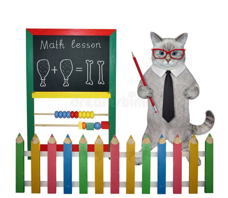116 Cat Math Photos - Free & Royalty-Free Stock Photos from Dreamstime