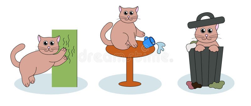 Set of Problem with Cat Behavior. Kitten Scratches, Pushes Cup Off the ...