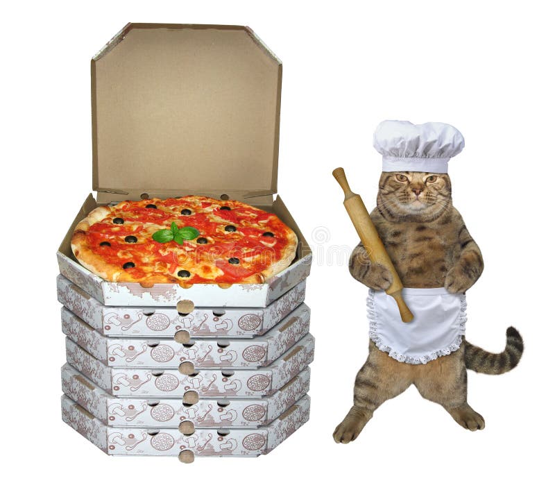 Cat Baker Near Stack of Pizza Stock Photo - Image of funny, mood: 168107980