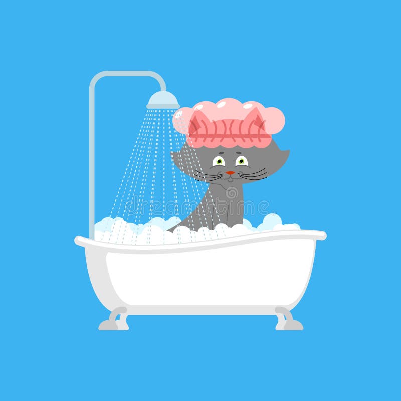 Cat in bath. Pet is washed stock vector. Illustration of cute - 104435818