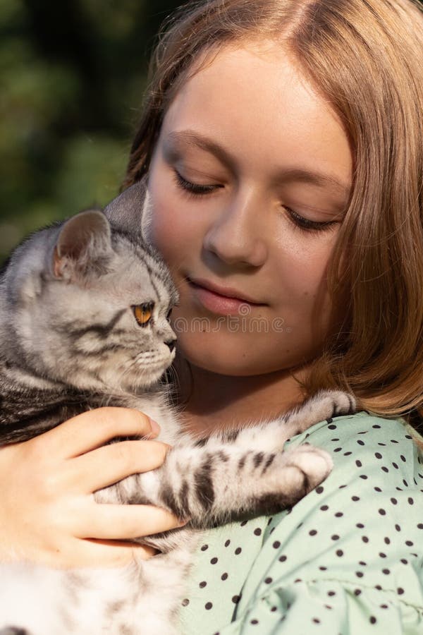 Cat Being Embraced by Its Owner. Stock Image - Image of companionship ...