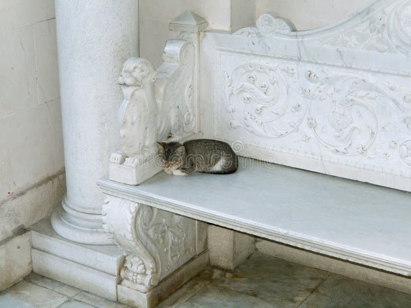 Cat on bench stock image. Image of sleepy, stay, purr - 1287333