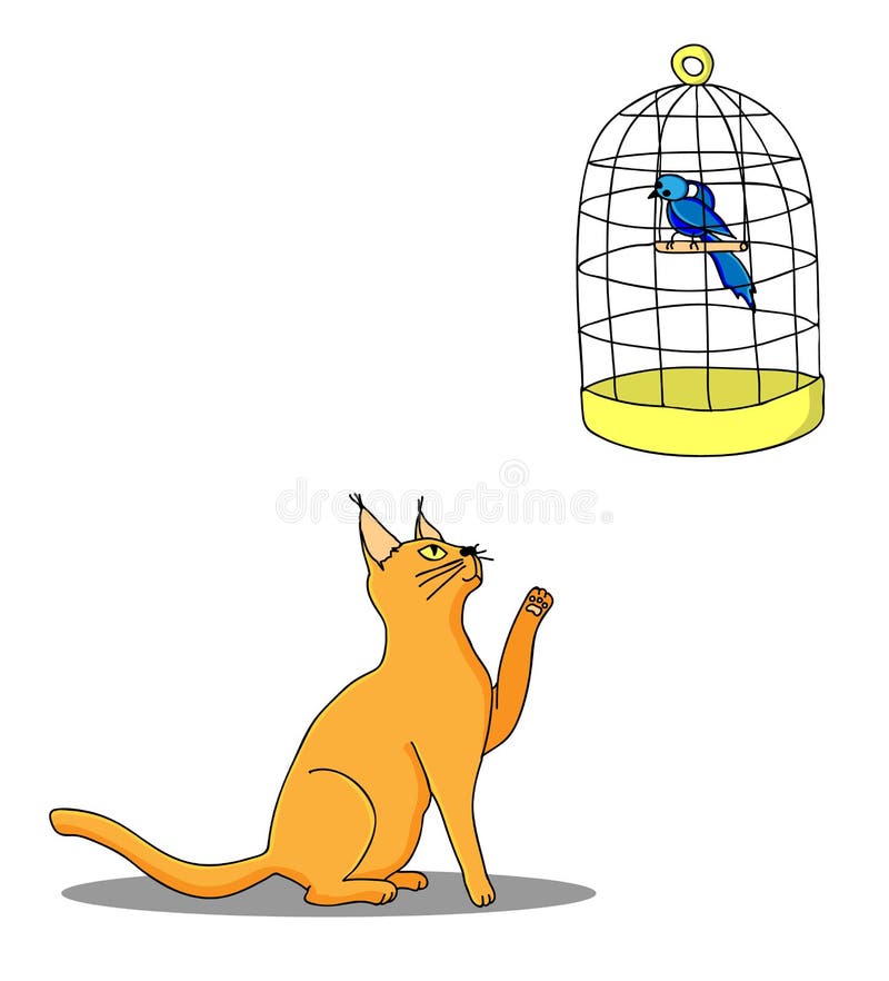 Cat and Bird stock vector. Illustration of yellow, bird - 56561105