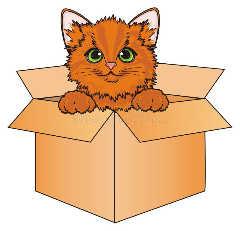 Cat and box stock illustration. Illustration of animal - 95405146