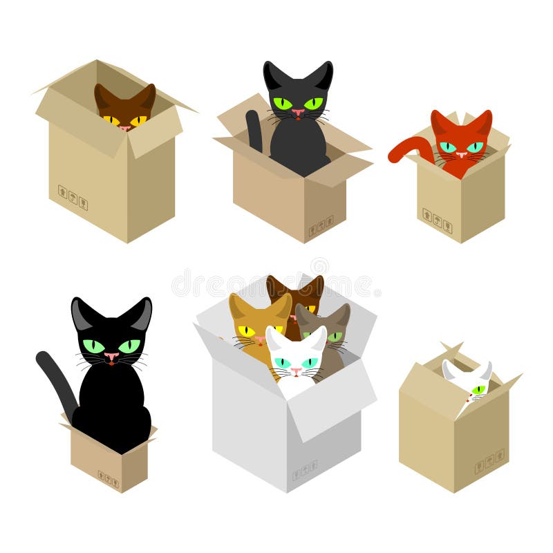 Cat in Box Set. Pet in Cardboard Box Stock Vector - Illustration of ...