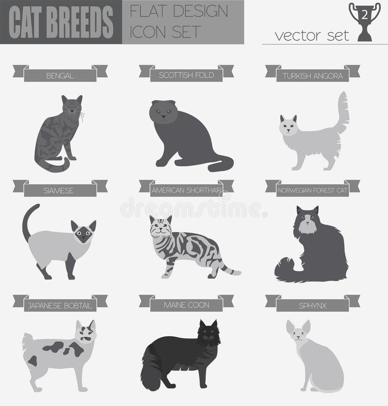 Cat Breeds Icon Set Flat Style Stock Vector - Illustration of cats ...