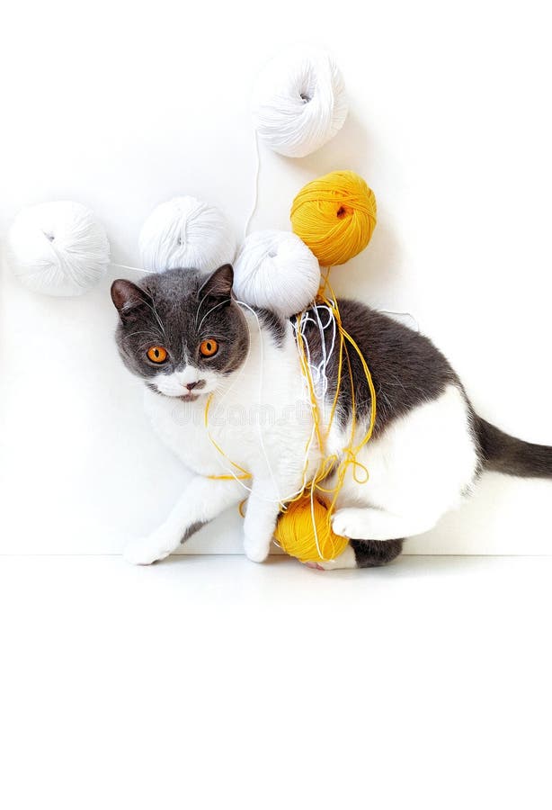 142 Entangled Yarn Stock Photos - Free & Royalty-Free Stock Photos from ...